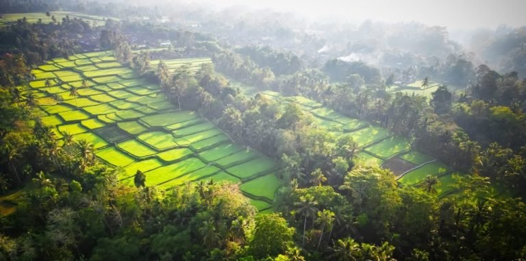 How Far Is Ubud From...? Distances, Travel Times & Tips